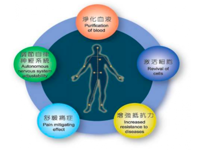 BioEm Therapy Machine