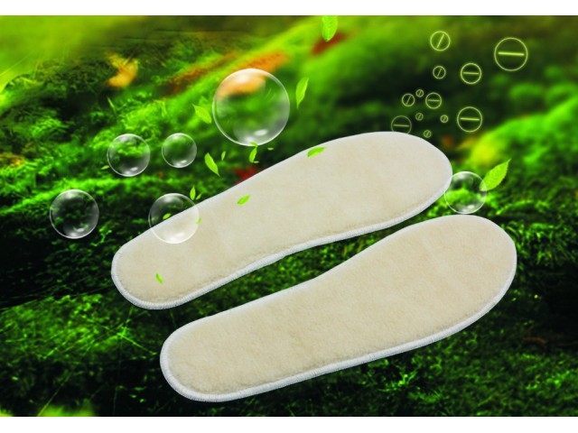 Negative ion shoe inlay