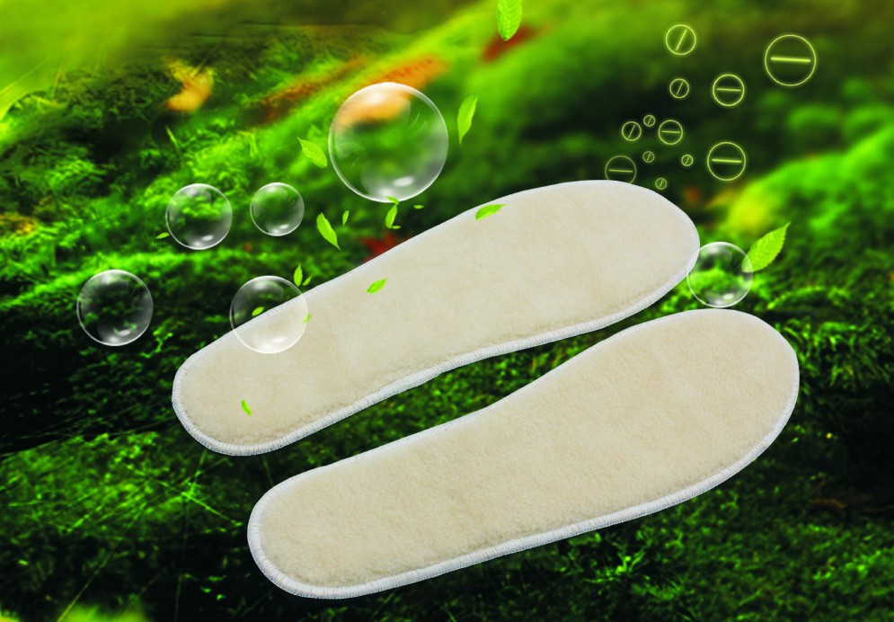 Negative ion shoe inlay